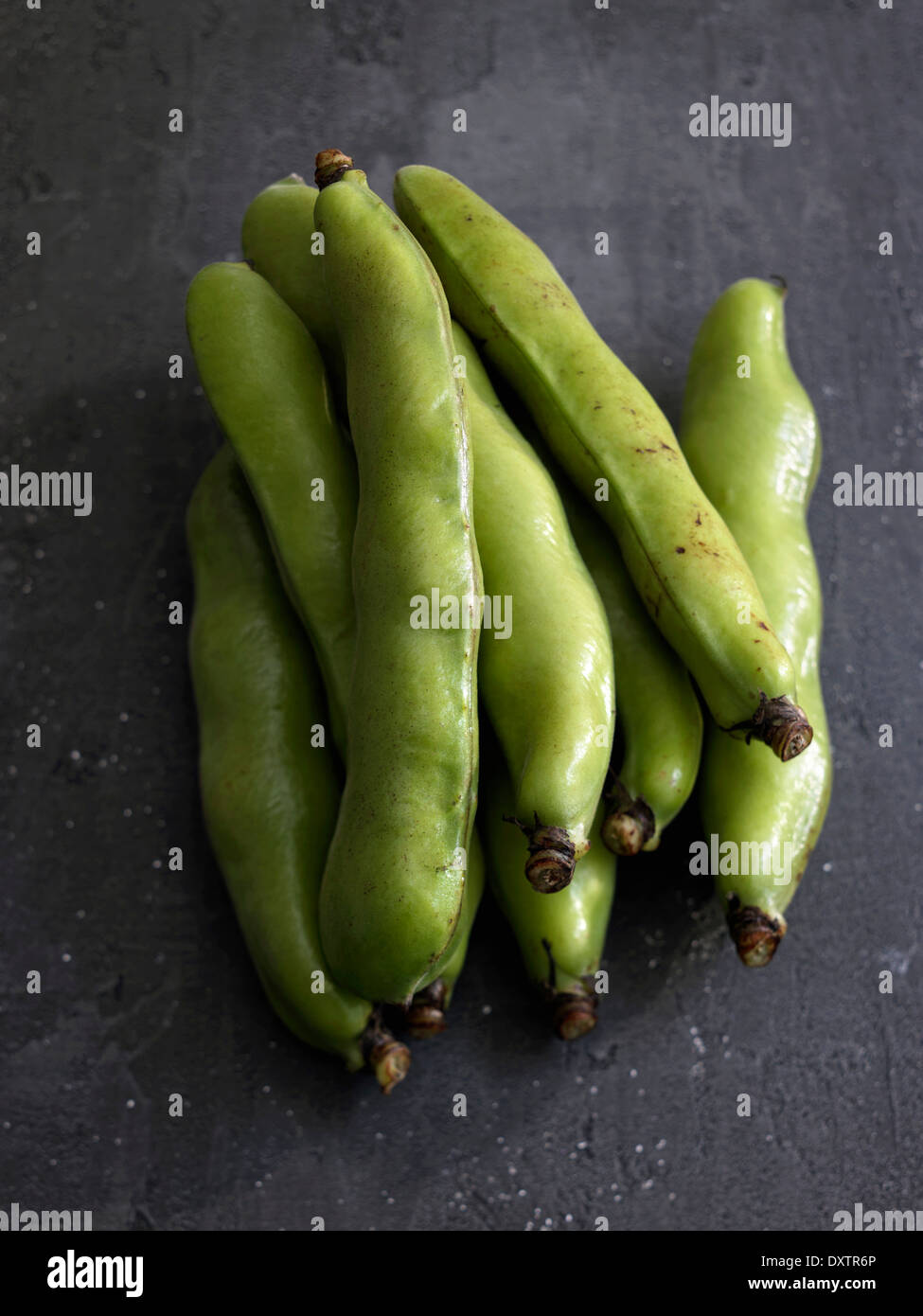 Broad beans in pod hi-res stock photography and images - Alamy