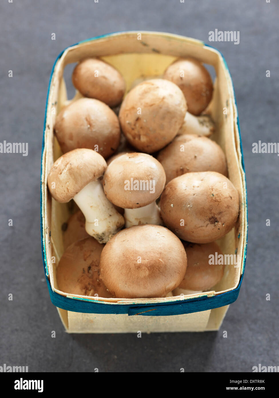 Button mushrooms food still hi-res stock photography and images - Alamy
