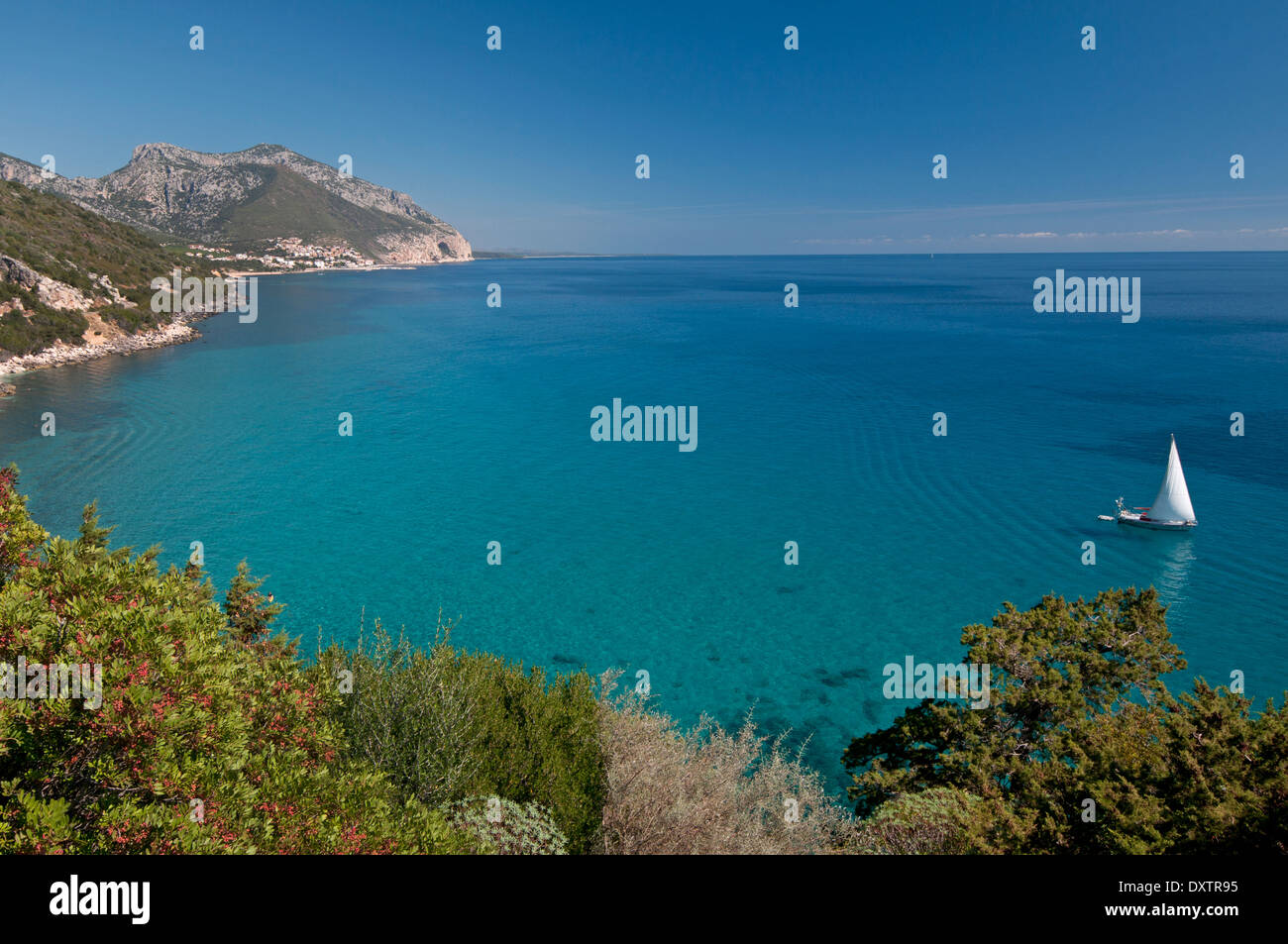 Sailing the transparent waters along the famous Cala Gonone coast in ...