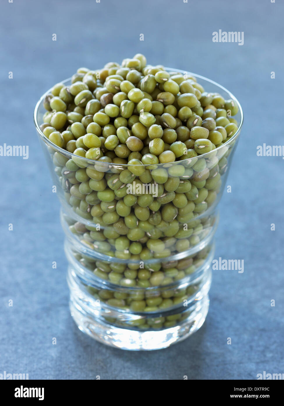 Mungo beans hi-res stock photography and images - Alamy