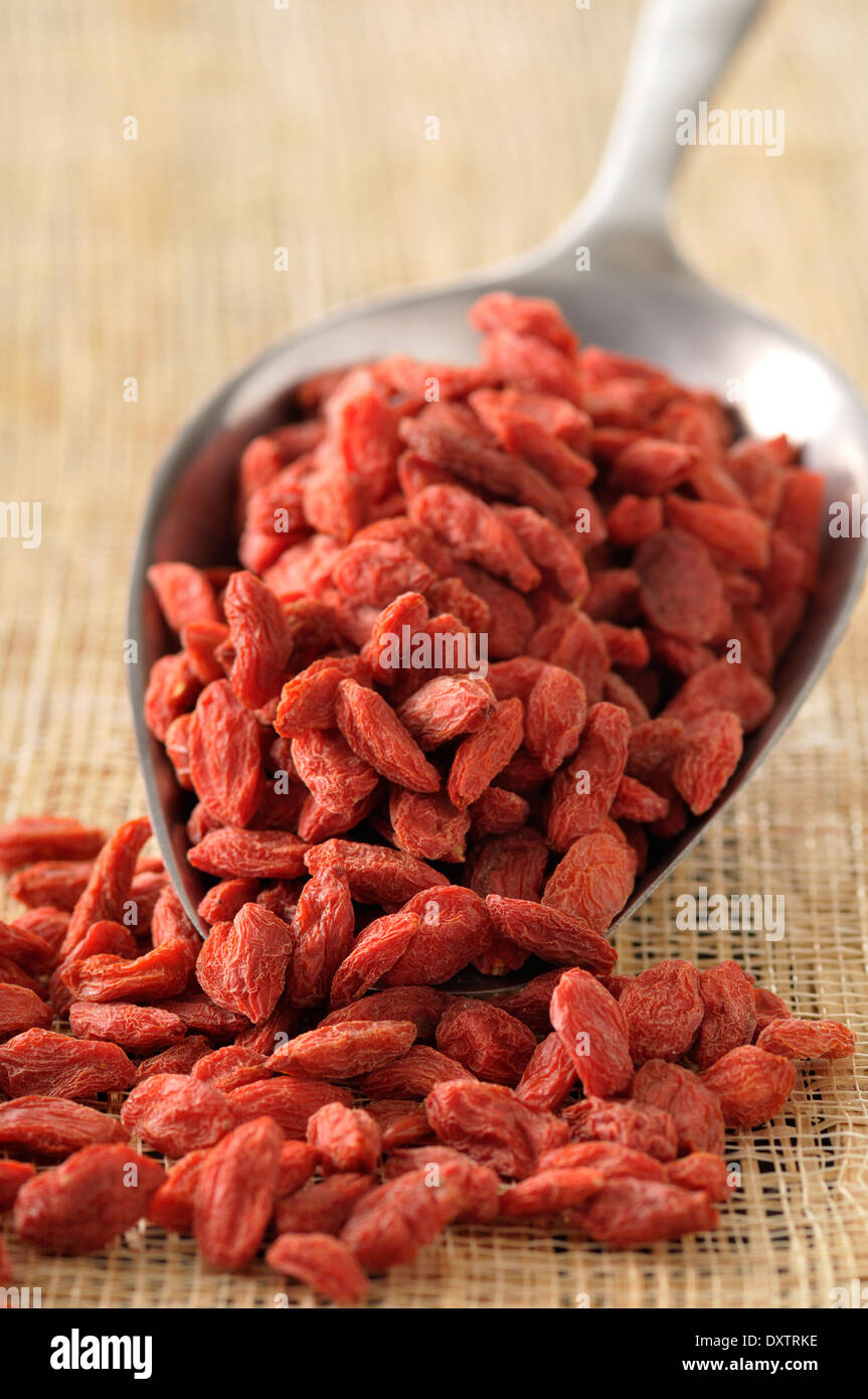 Scoopful of goji beans Stock Photo - Alamy