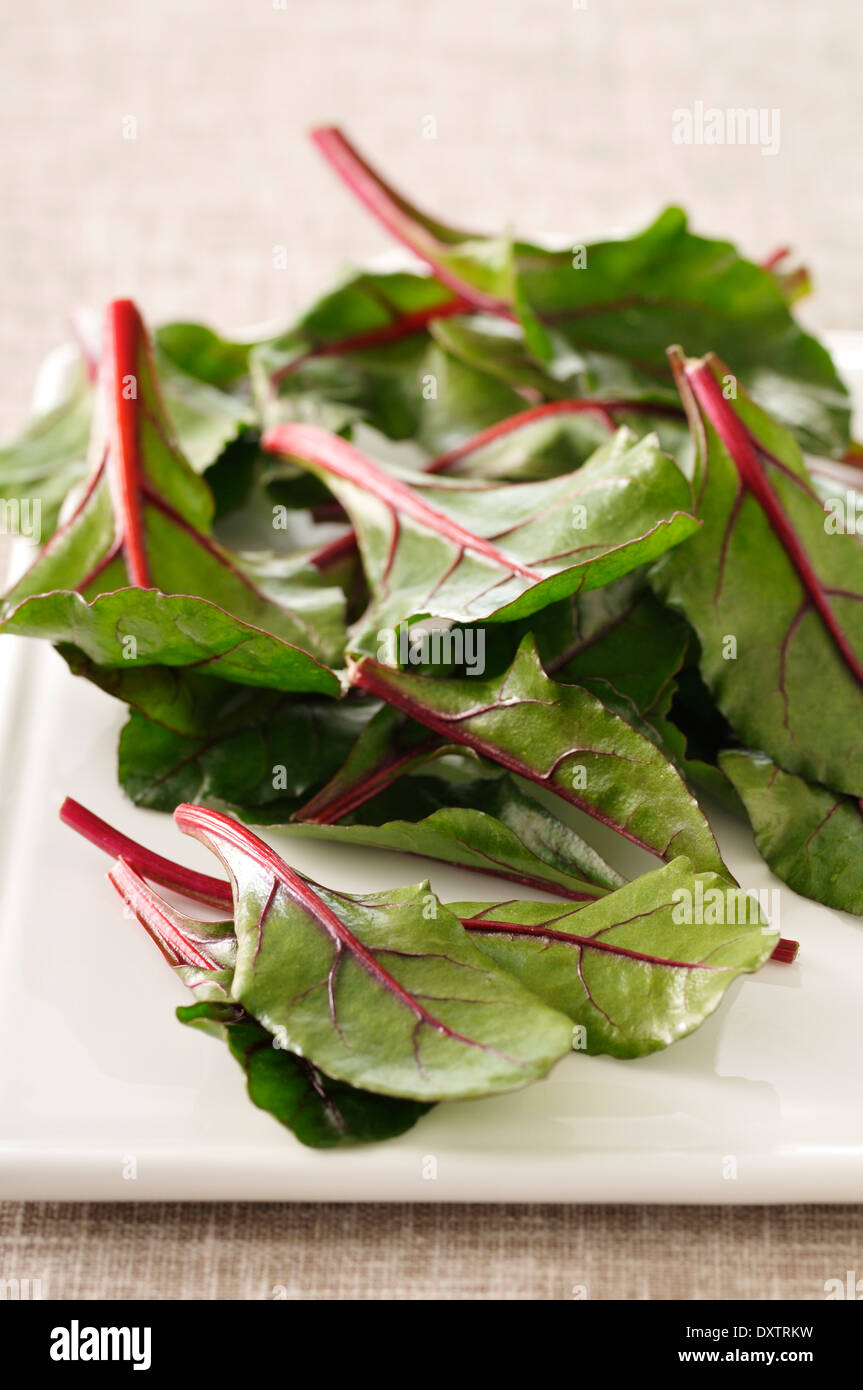 Beetroot leaves hi-res stock photography and images - Alamy