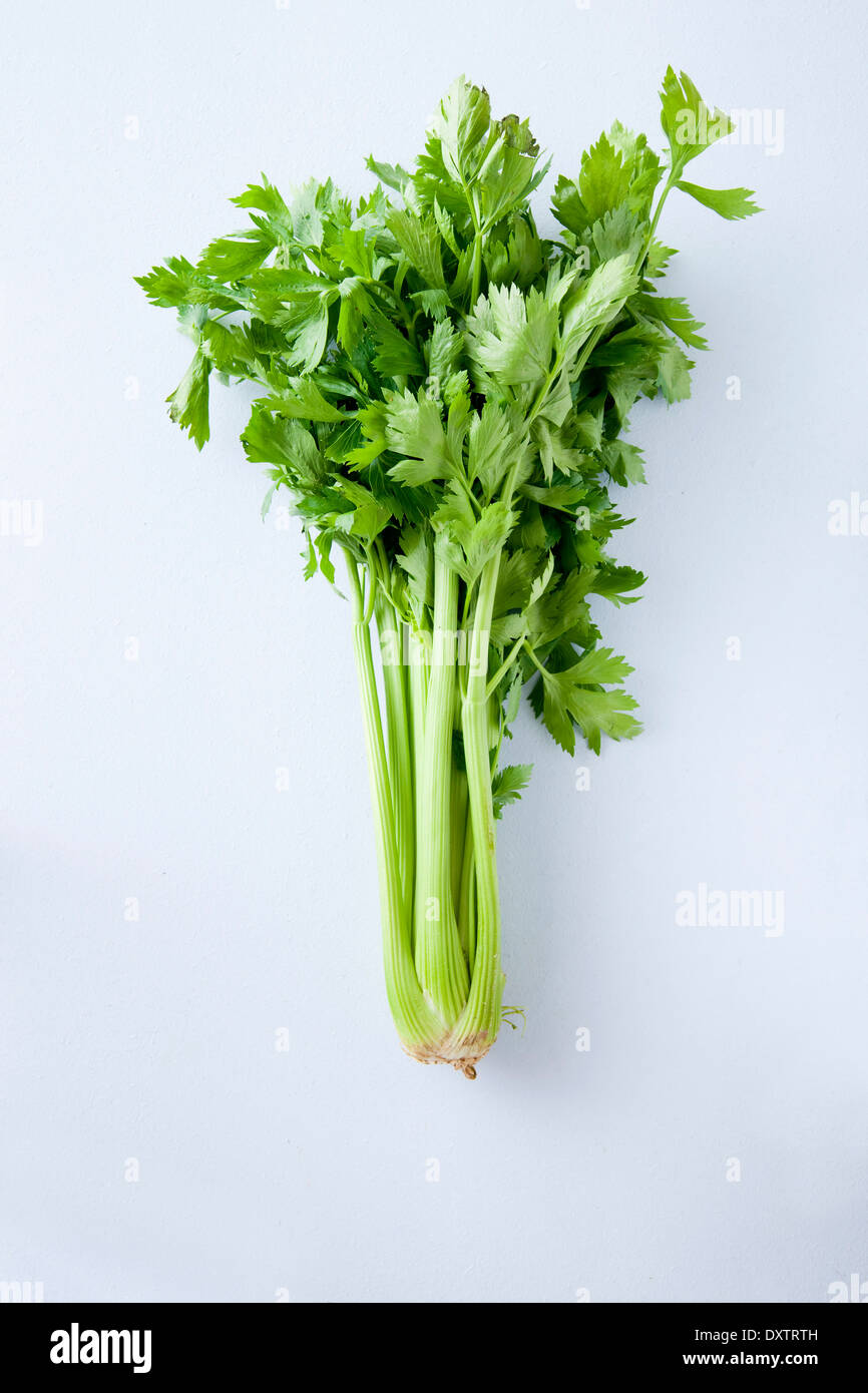 Celery hi-res stock photography and images - Alamy