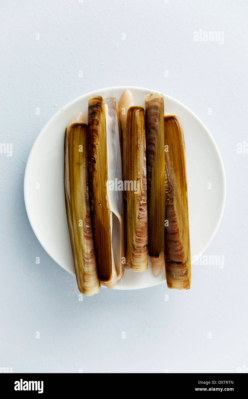 Razor clams hi-res stock photography and images - Alamy