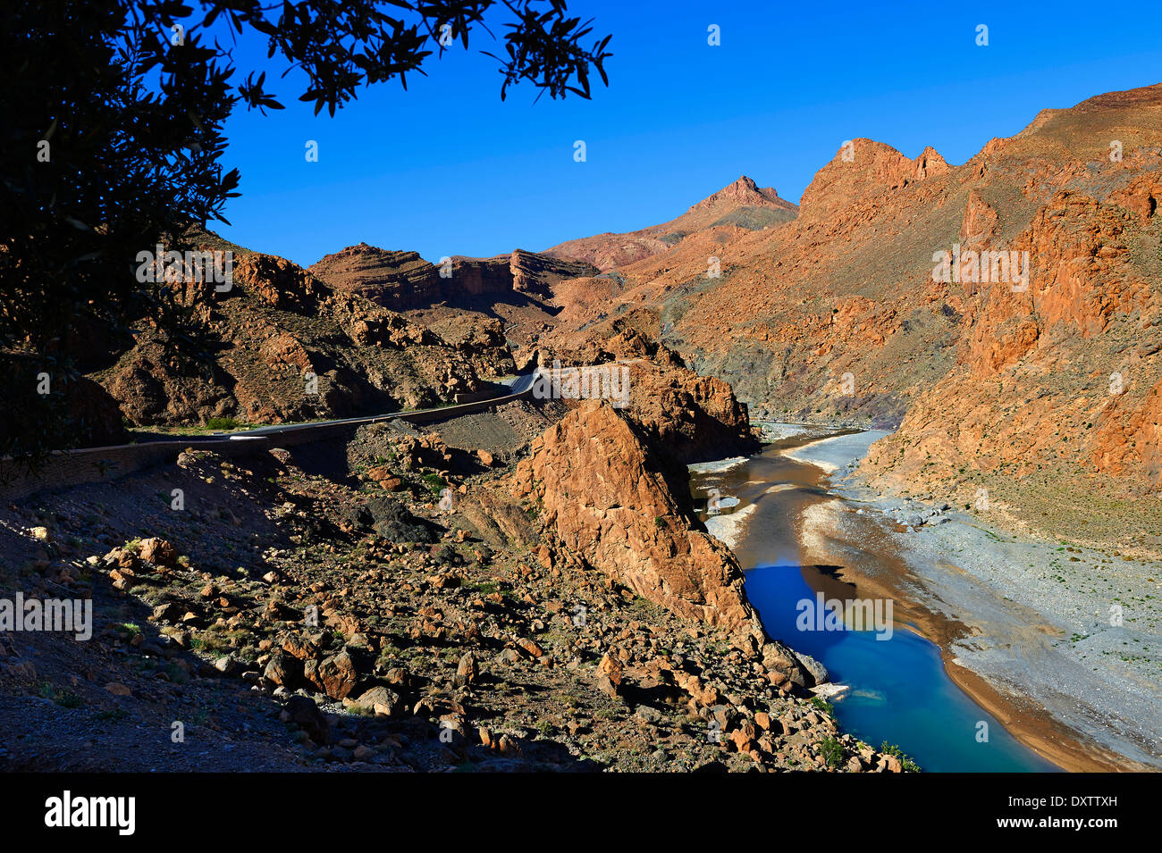 The river Ziz cutting its way through a Gorge in the Atlas Mountains ...