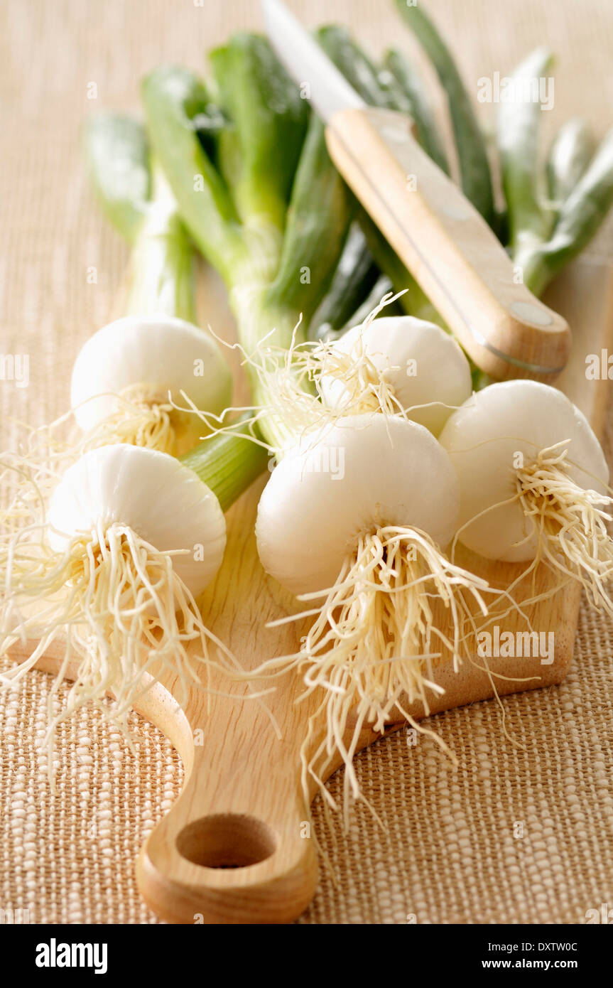 Chopping spring onions hi-res stock photography and images - Alamy