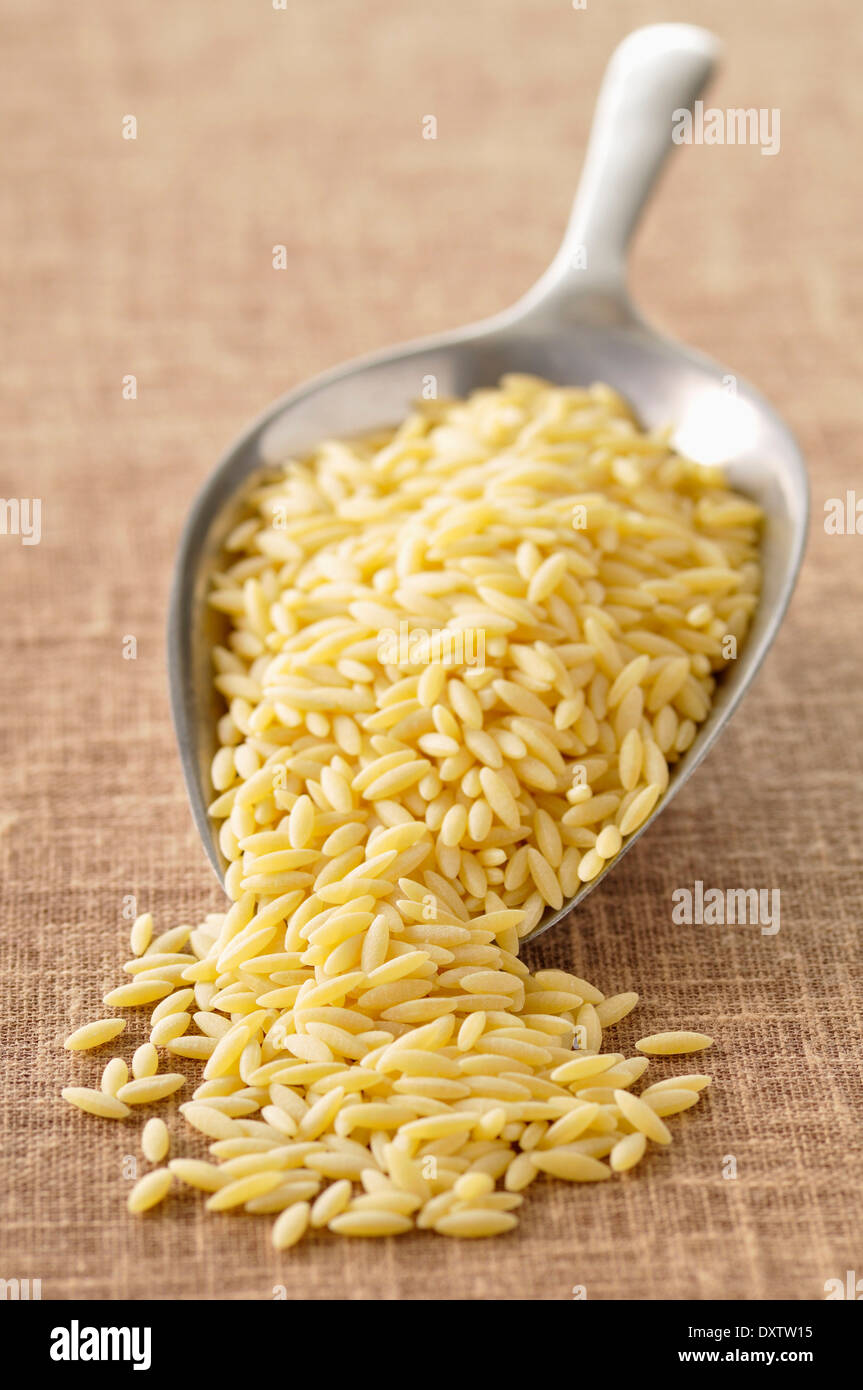Scoopful of Orzetto Stock Photo - Alamy