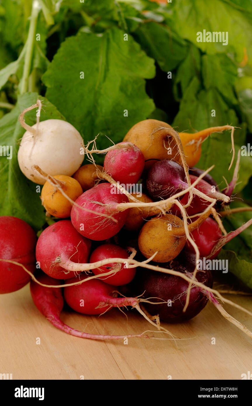 Different colored hi-res stock photography and images - Alamy