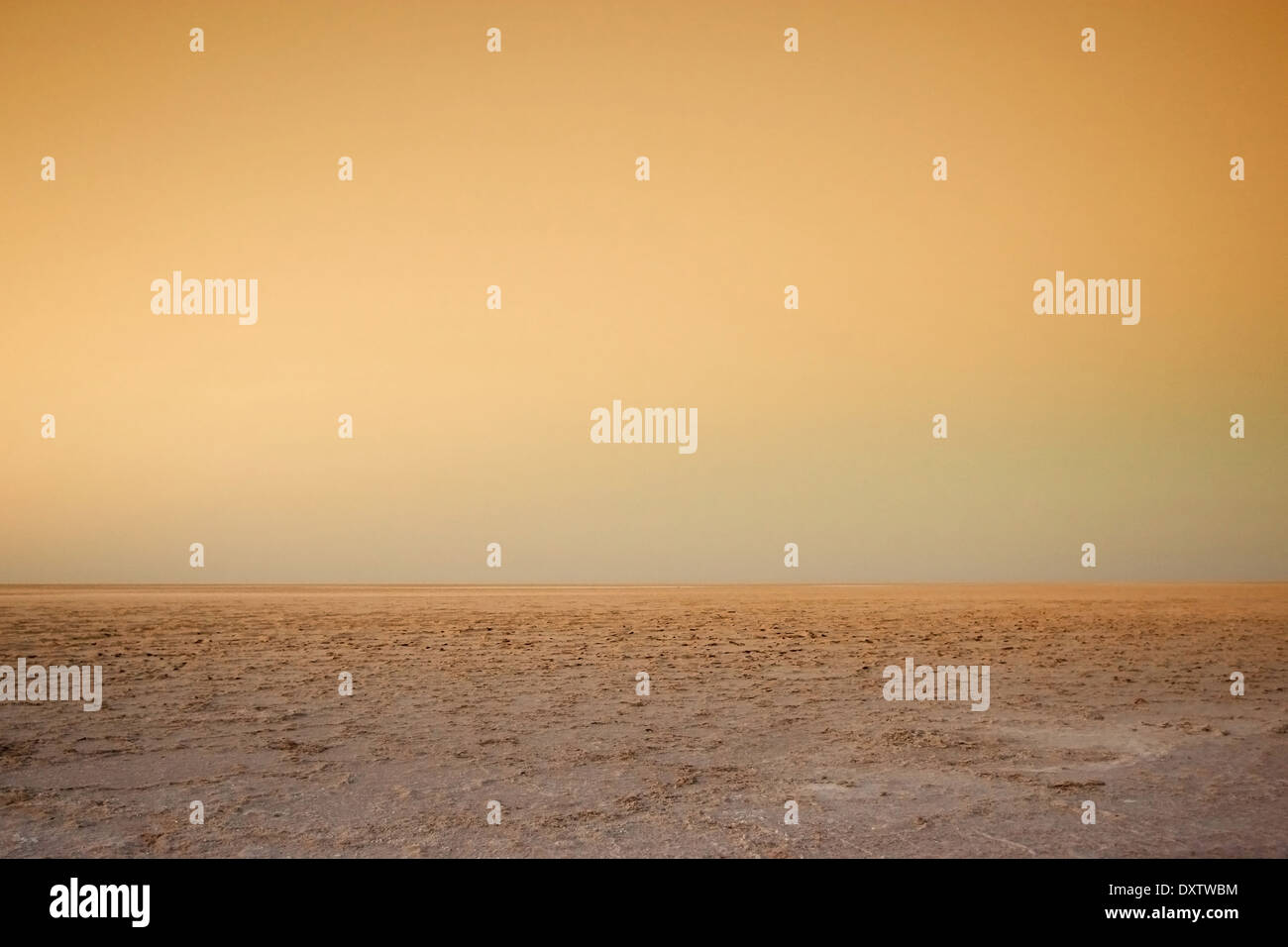Chott El Jerid, a large salt lake in southern Tunisia at sunset. Chott ...