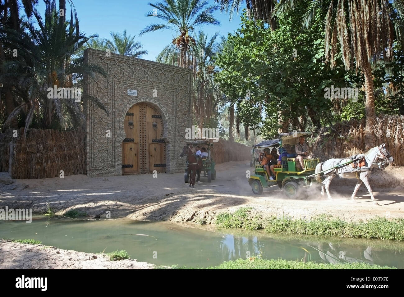 Tourists driving in a carriage through the biggest tunisian oasis that ...