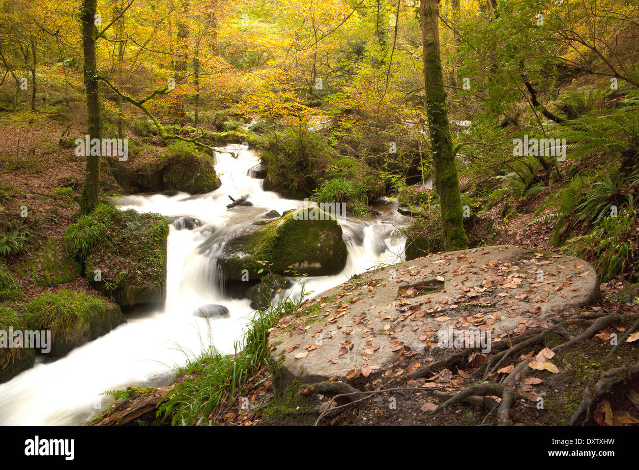 A Granite Mill Stone beside the water falls in the Kennall Vale Nature ...