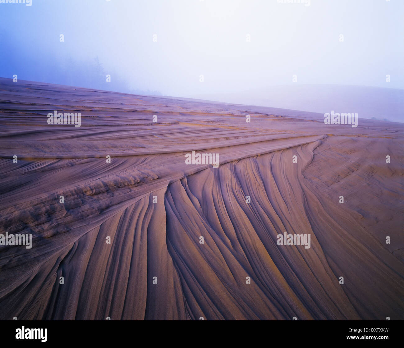 Lakeside geology hi-res stock photography and images - Alamy