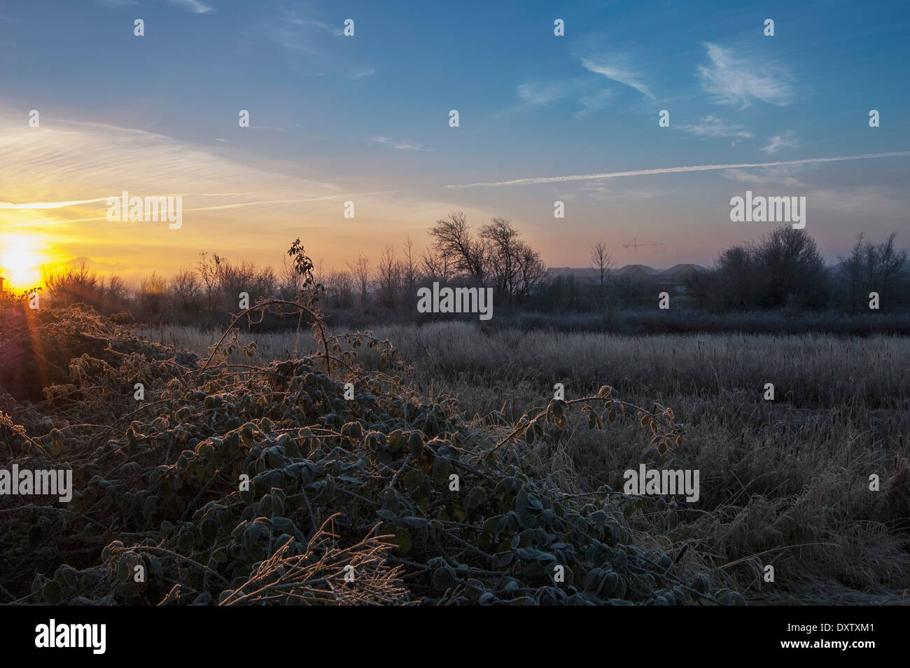 Jet pitt hi-res stock photography and images - Alamy