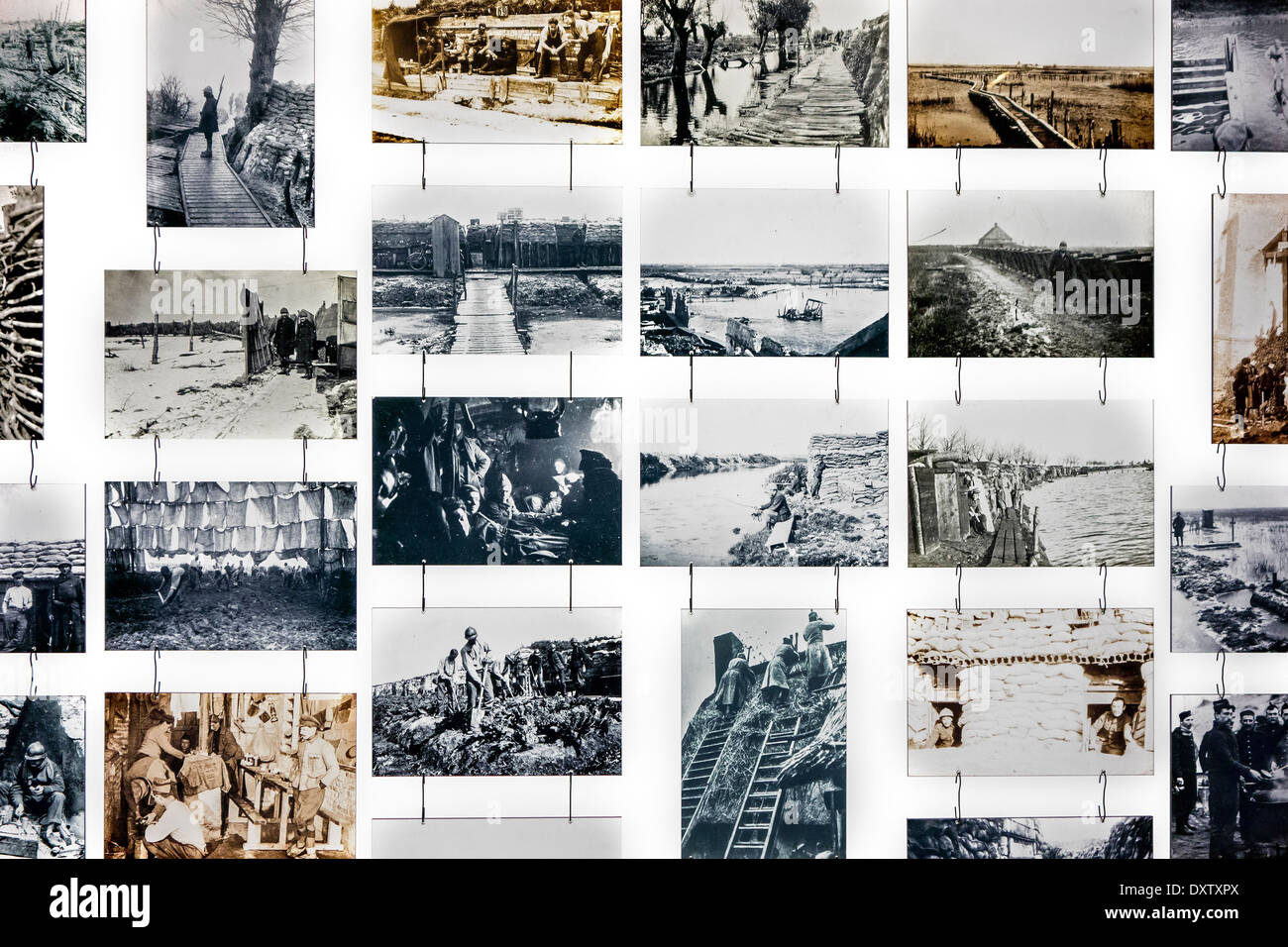 Photographic glass plates showing WWI scenes at the First World War One ...