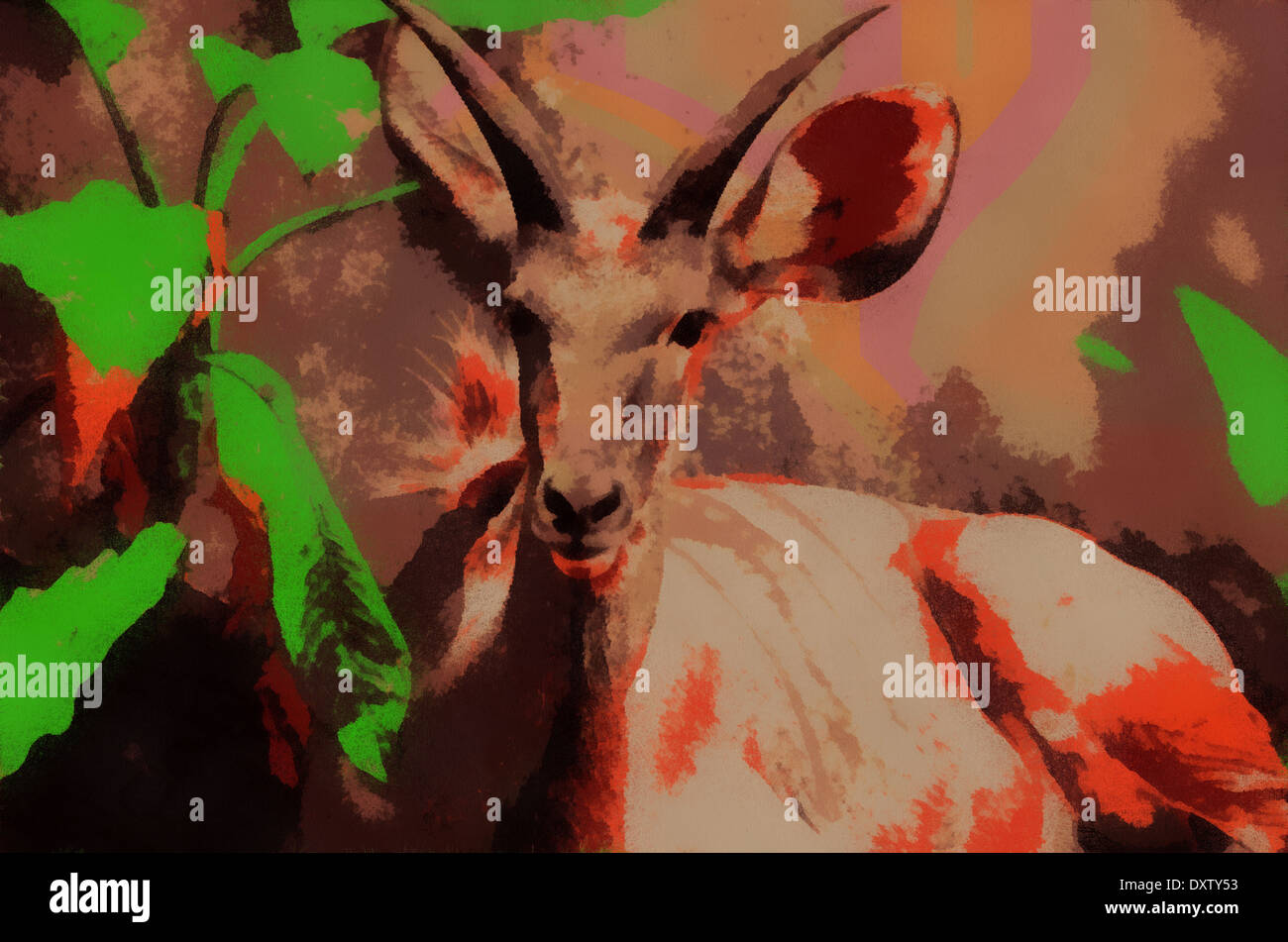 Derbianus High Resolution Stock Photography and Images - Alamy