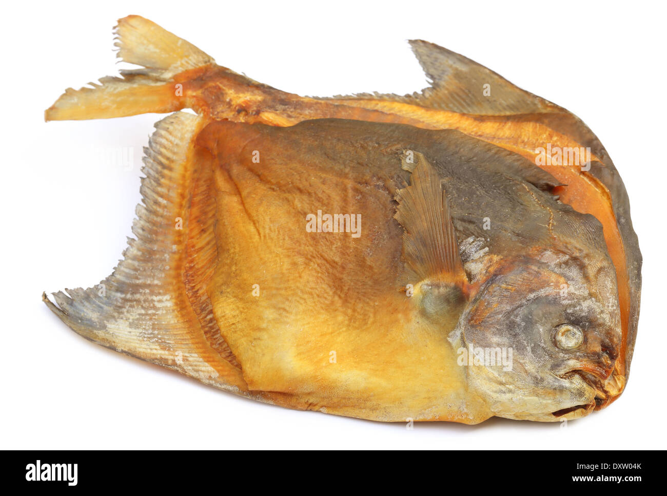 Chada hi-res stock photography and images - Alamy