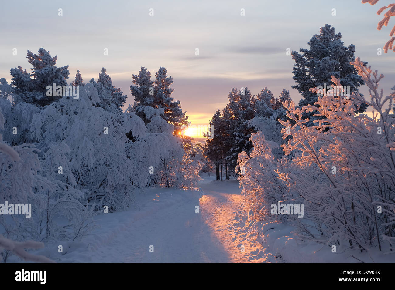 Finland winter hi-res stock photography and images - Alamy