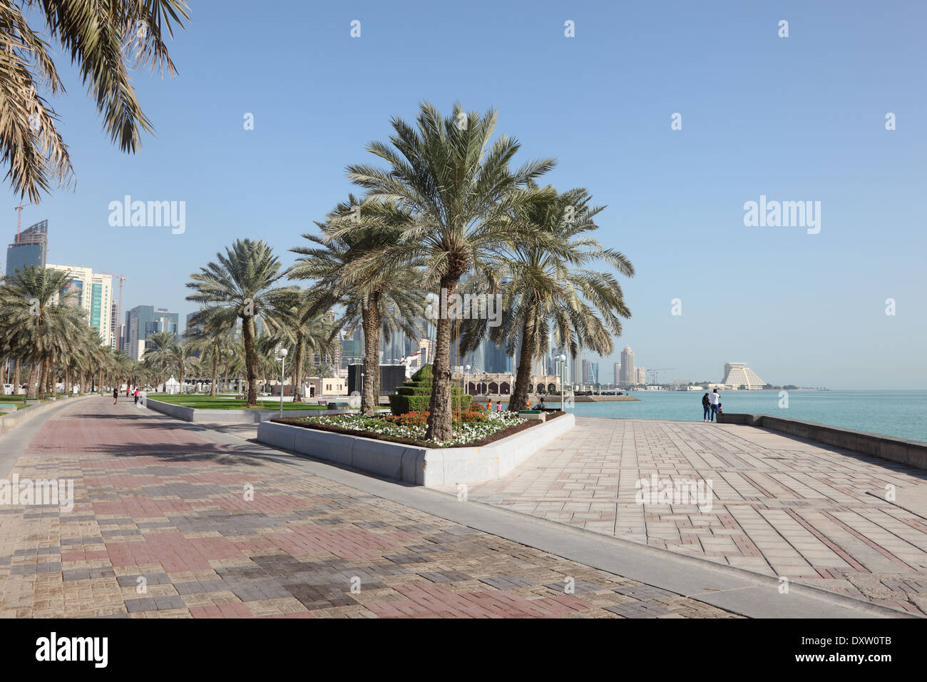 Date Palm Trees at the corniche in Doha, Qatar, Middle East Stock Photo ...