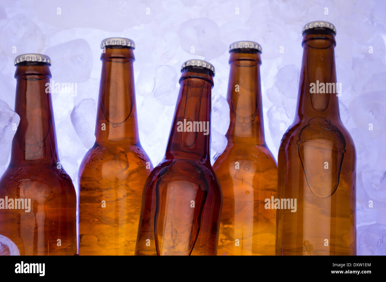 Bottle of beer in ice Stock Photo - Alamy