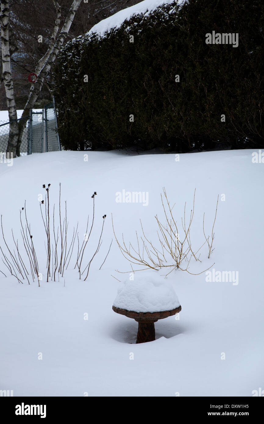 Birdbaths hi-res stock photography and images - Alamy