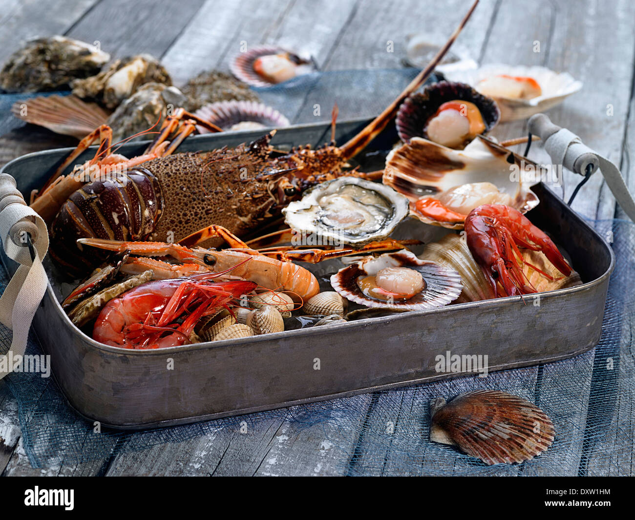 Shellfish assortment hi-res stock photography and images - Alamy