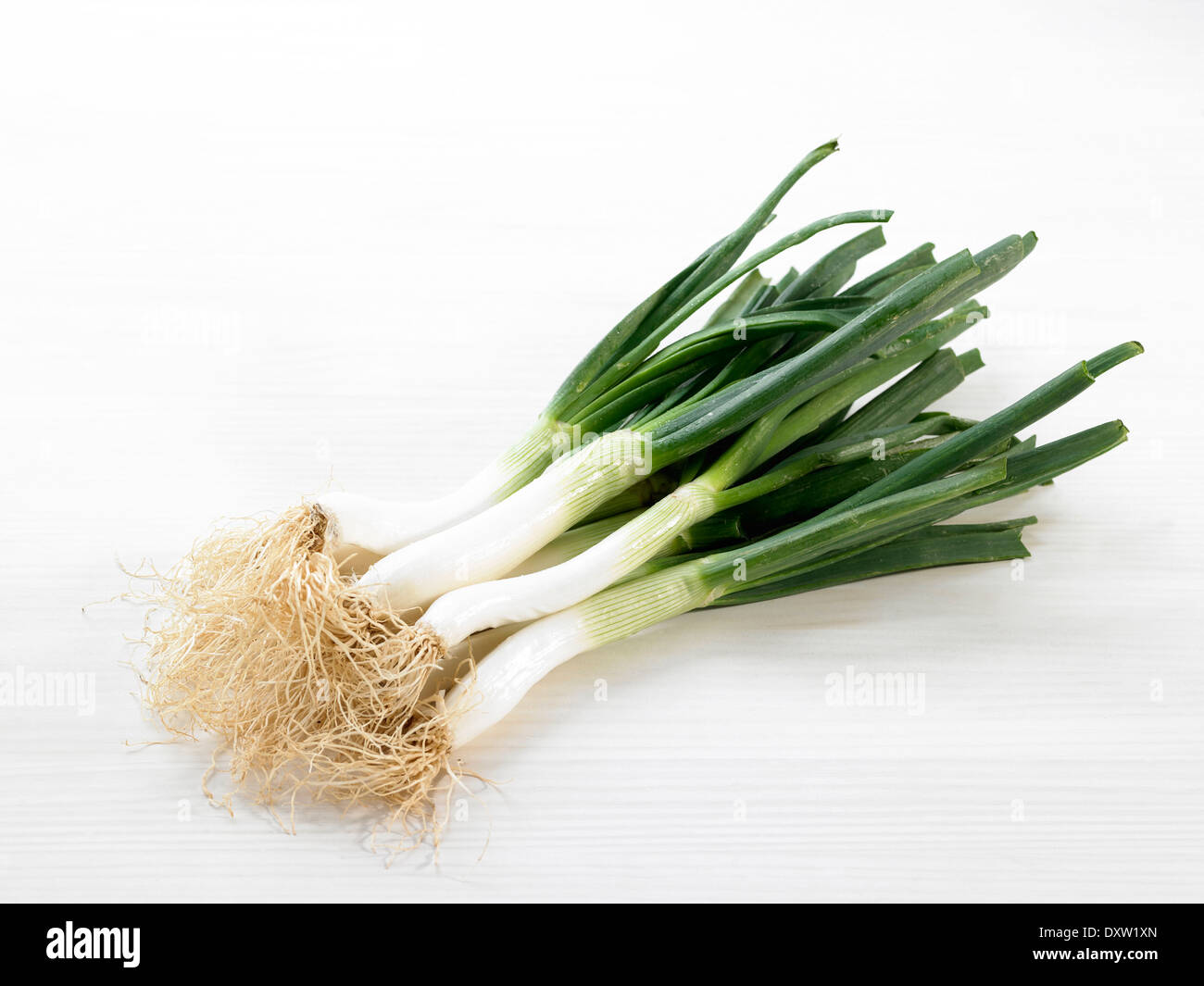 Catalan onions hi-res stock photography and images - Alamy