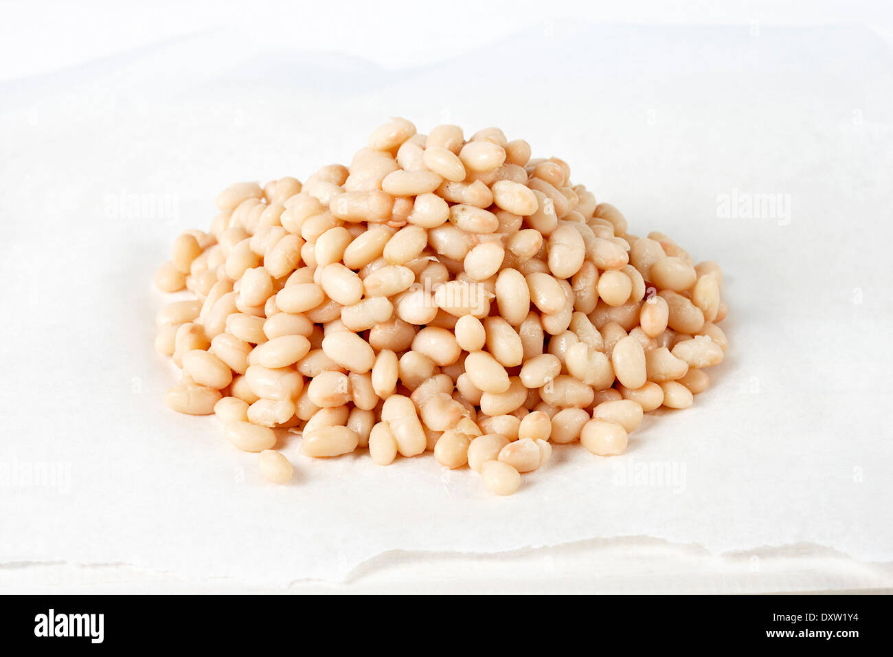 White beans on a white background Stock Photo - Alamy