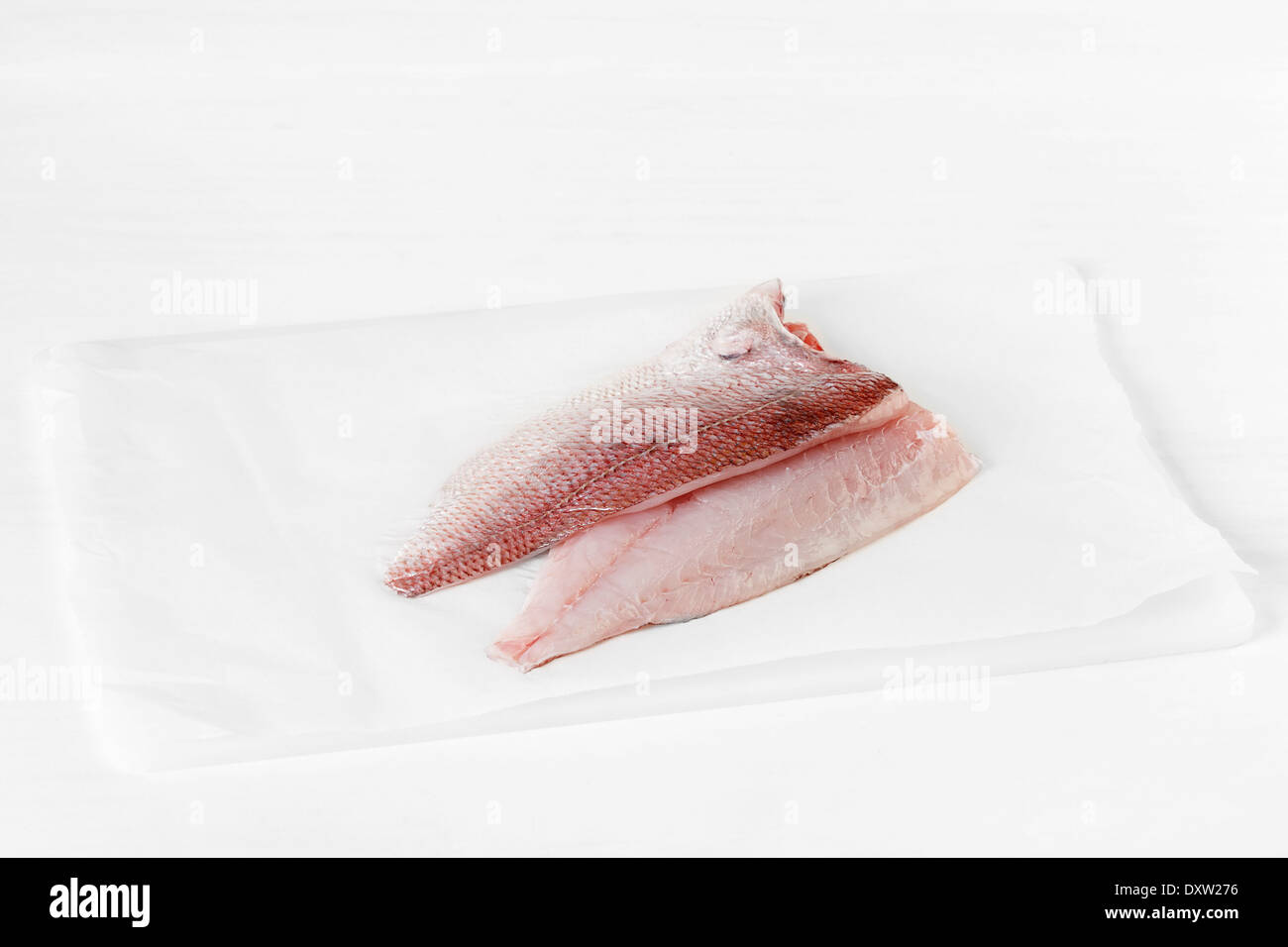 Raw pink sea bream fillets Stock Photo - Alamy
