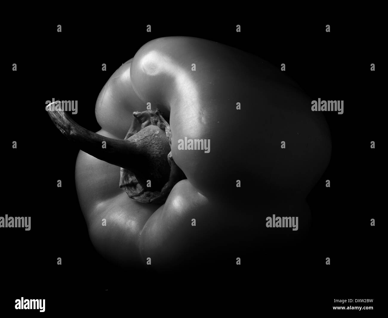 Black and white vegetable art hi-res stock photography and images - Alamy