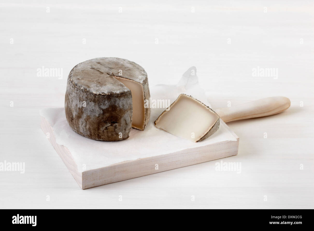 Dry sheep's milk cheese Stock Photo - Alamy
