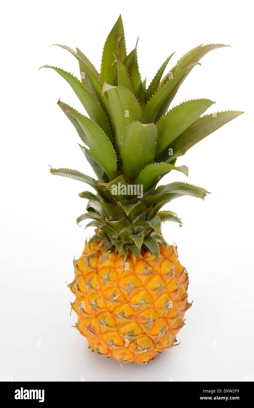 Victoria pineapple hi-res stock photography and images - Alamy