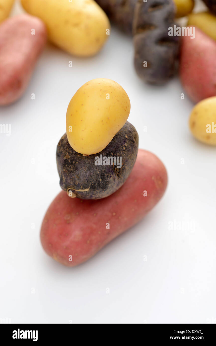 Three different colored potatoes Stock Photo - Alamy