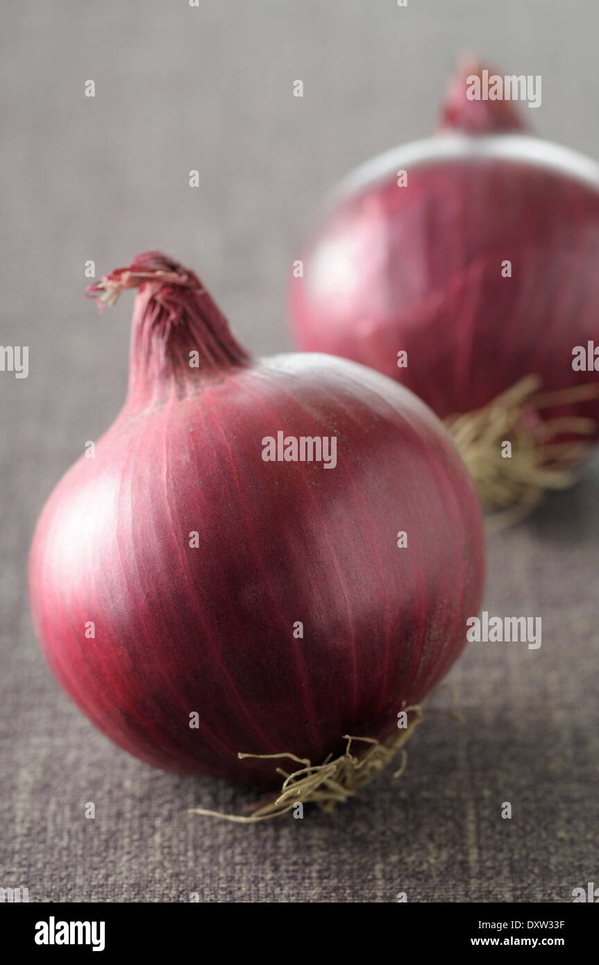Purple onions hi-res stock photography and images - Alamy