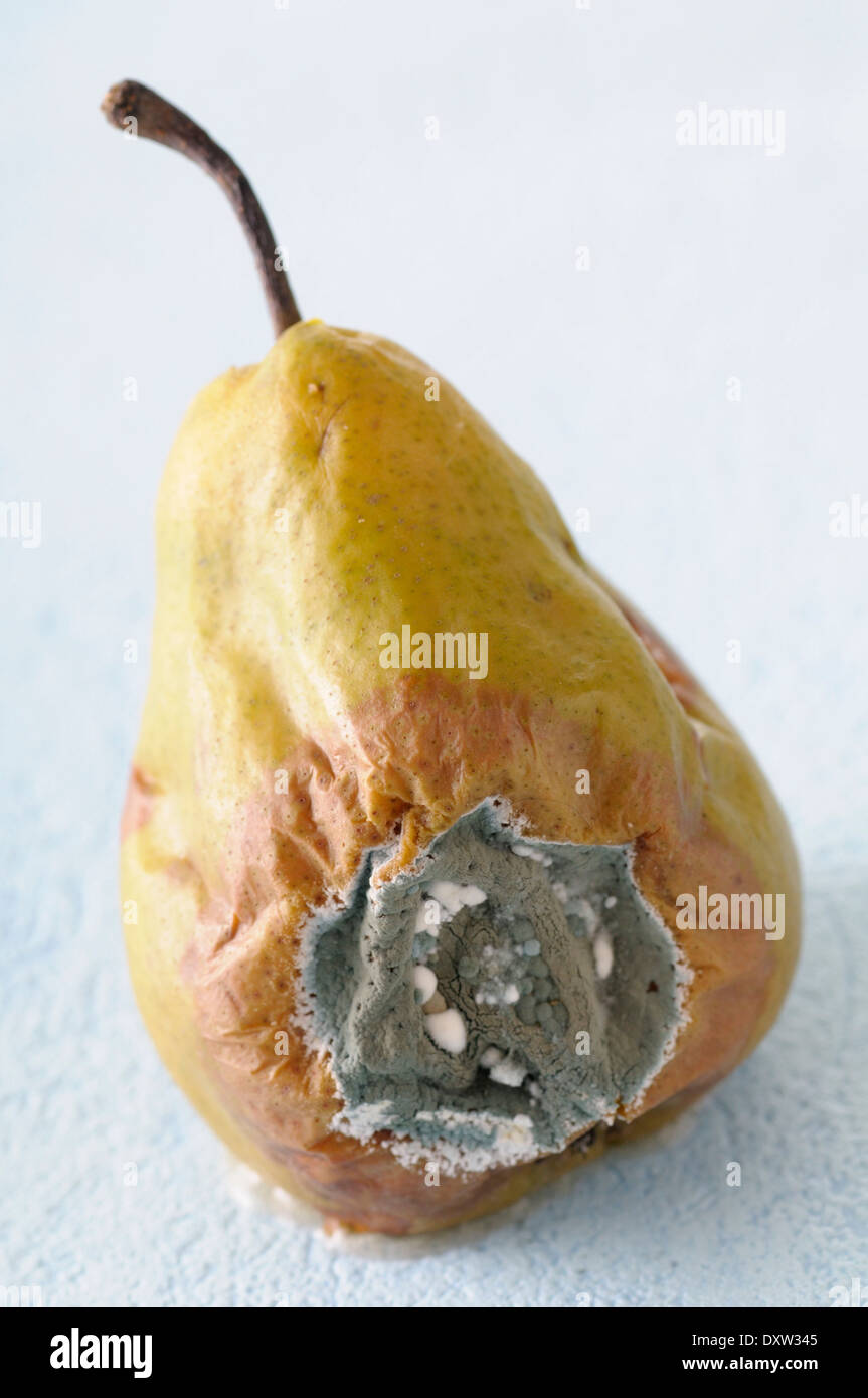 Rotten Pear High Resolution Stock Photography and Images - Alamy