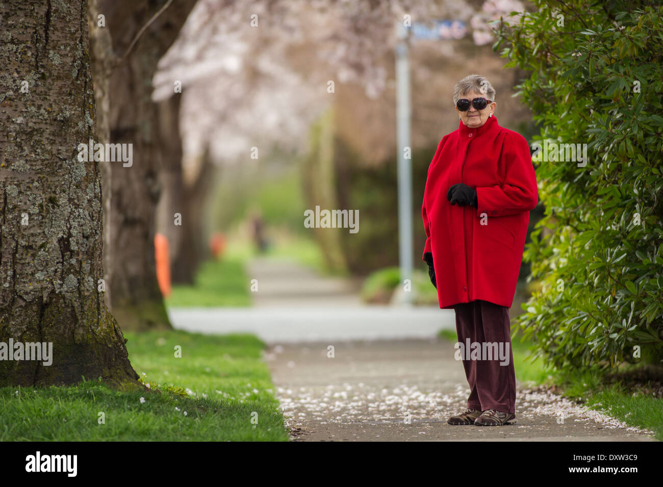 Woman with cherry blossoms hi-res stock photography and images - Alamy