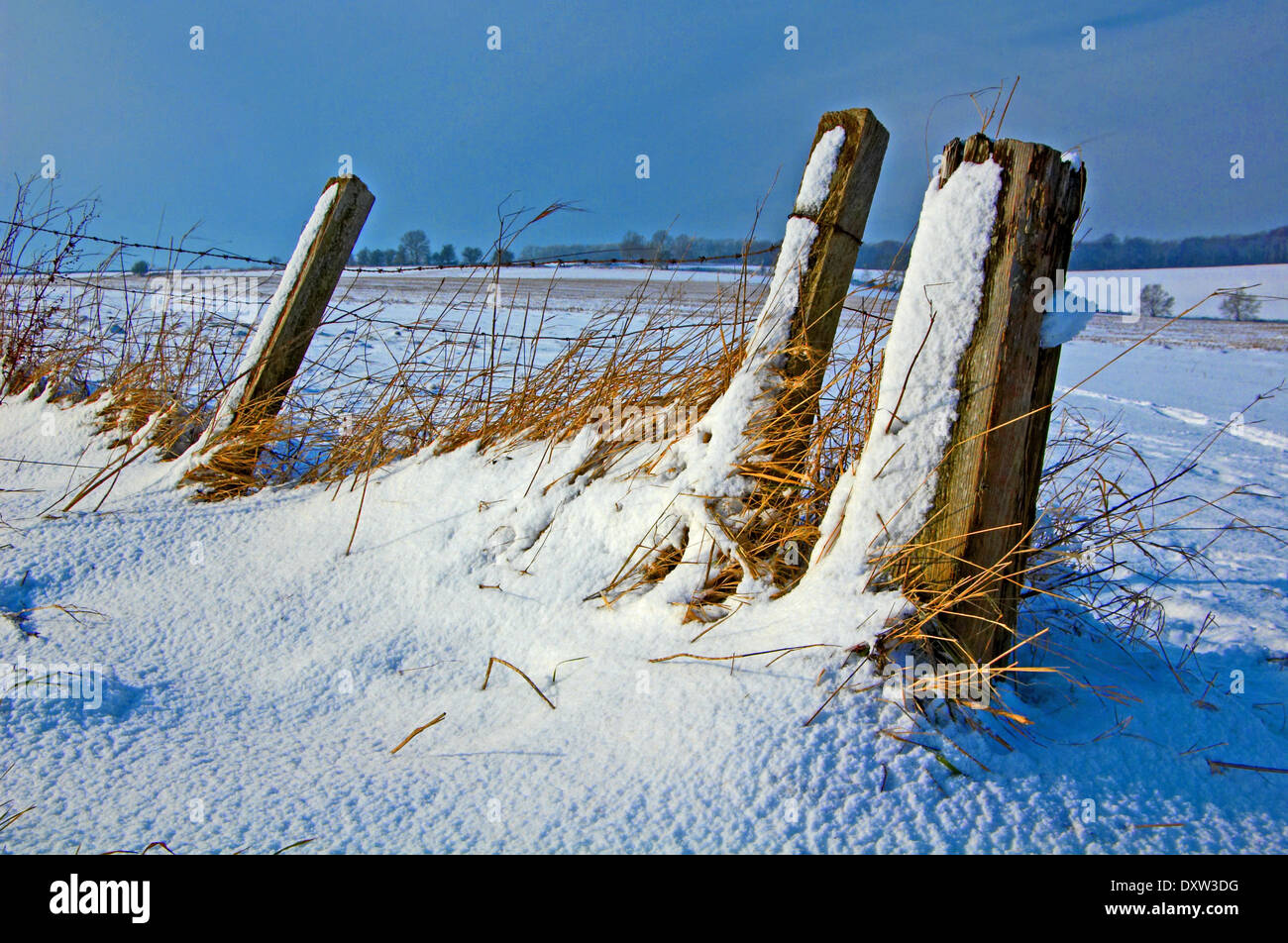 Fence posts on the edge of a Cotswold field, with a covering of snow ...