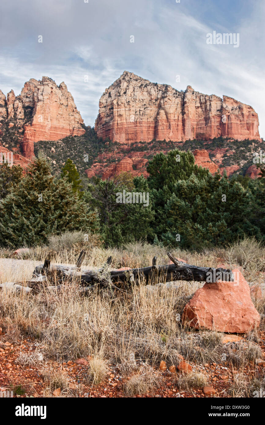 Sedona, Arizona, fallen tree with red mountain background Stock Photo ...