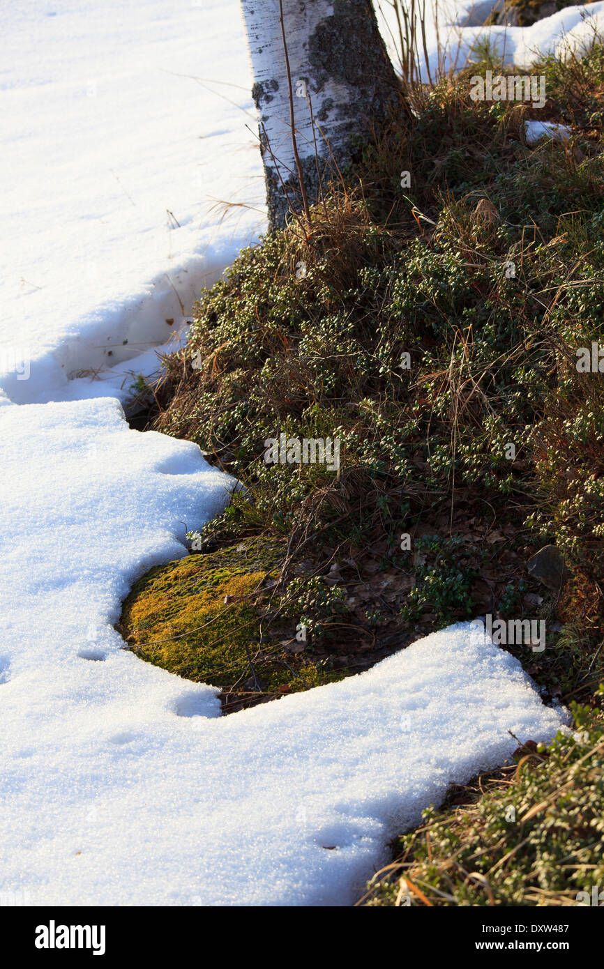 Day detail hi-res stock photography and images - Alamy