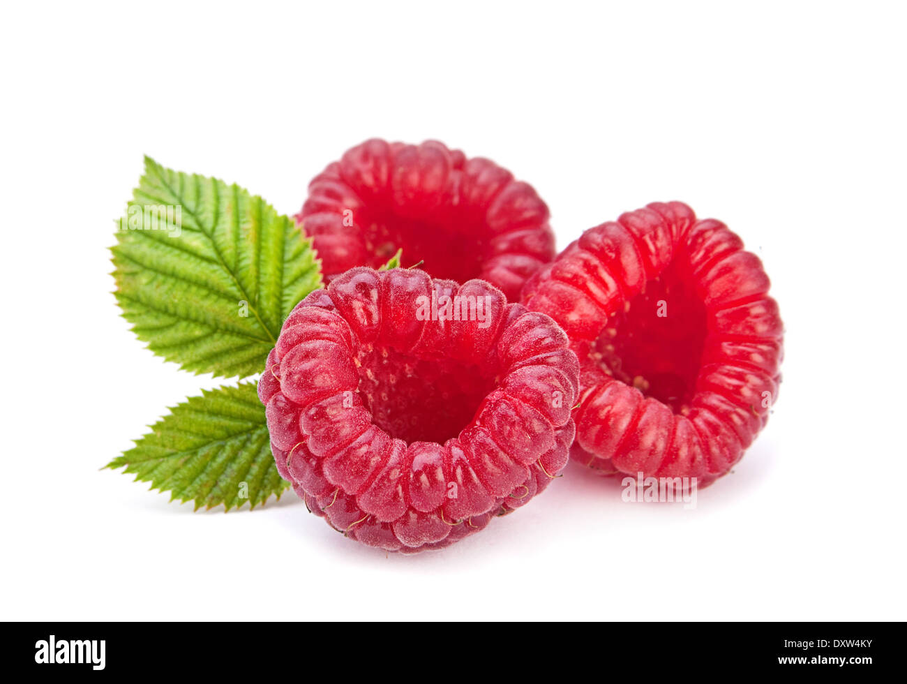 Raspberry purple Cut Out Stock Images & Pictures - Alamy