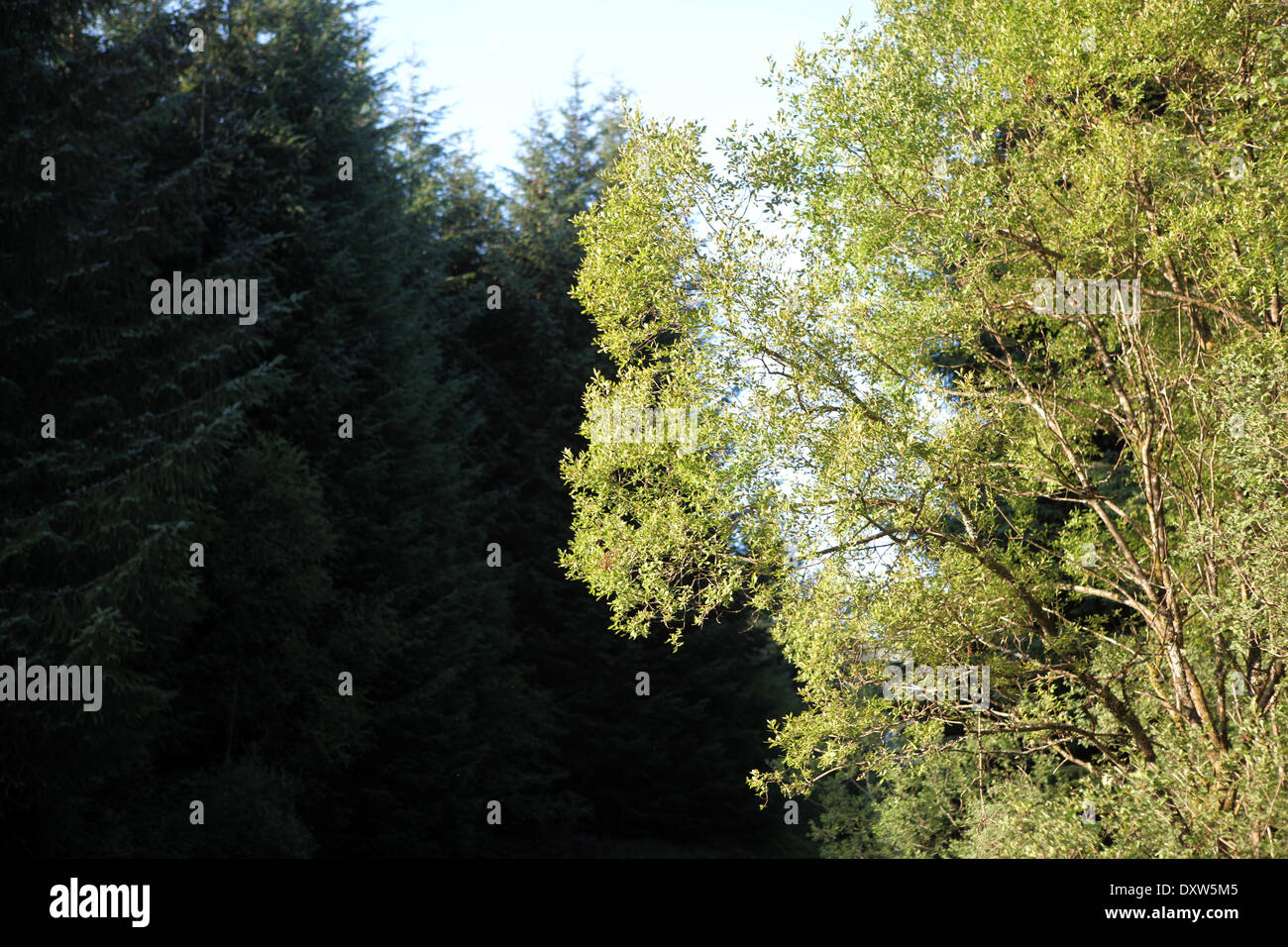 Dalmally scotland hi-res stock photography and images - Alamy