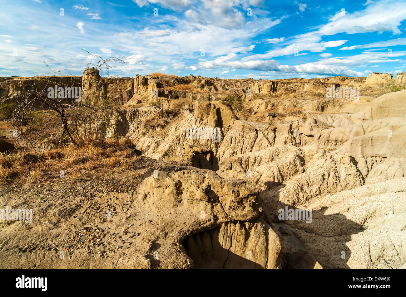 Parched desert hi-res stock photography and images - Alamy