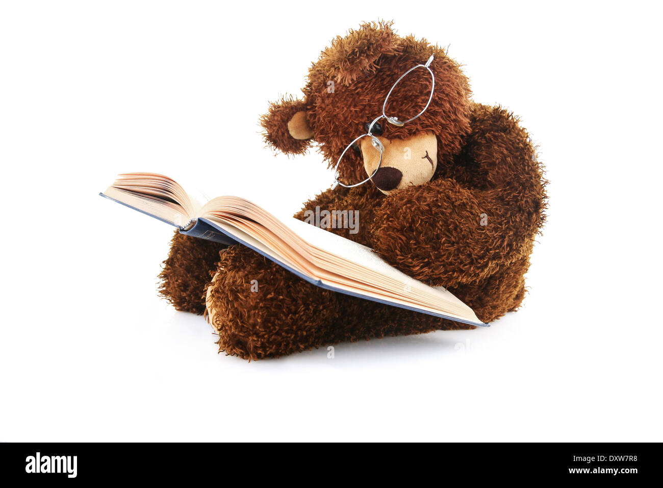 stuffed bear reading a book isolated on white Stock Photo - Alamy