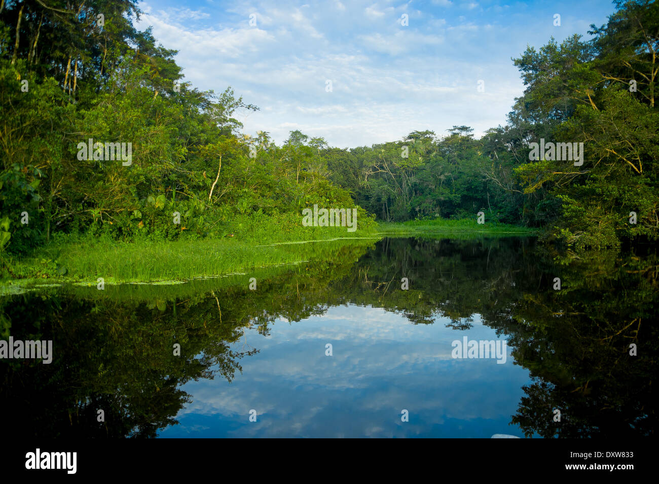 Amazon cloud background hi-res stock photography and images - Alamy