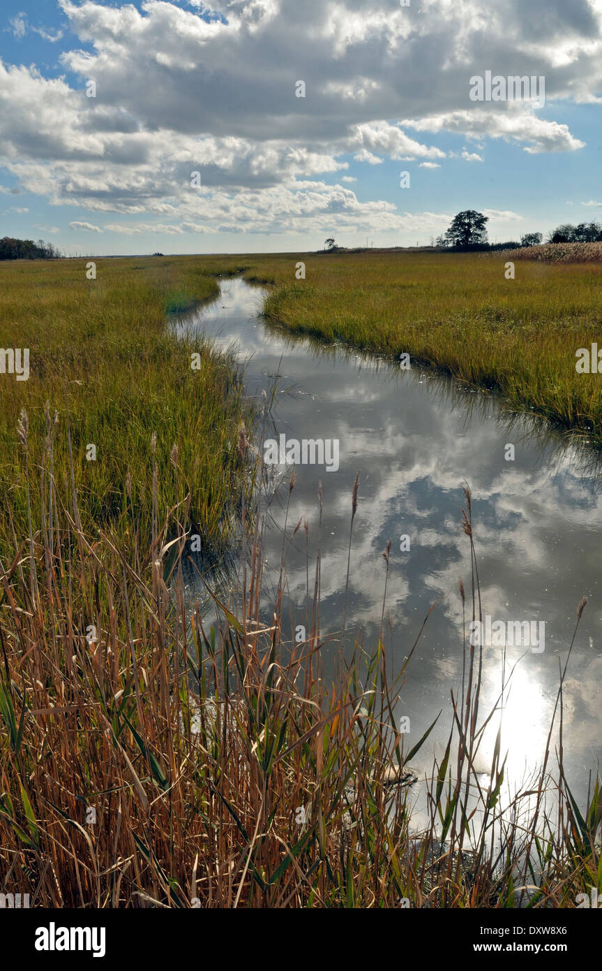 Marsh land and inter coastal waterway in South Jersey near Cape May ...