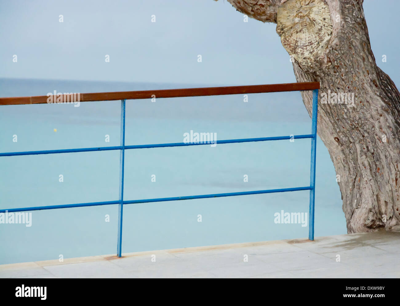 Azure sea blue fence and leaning tree, Sant Elm, Mallorca, Balearic ...