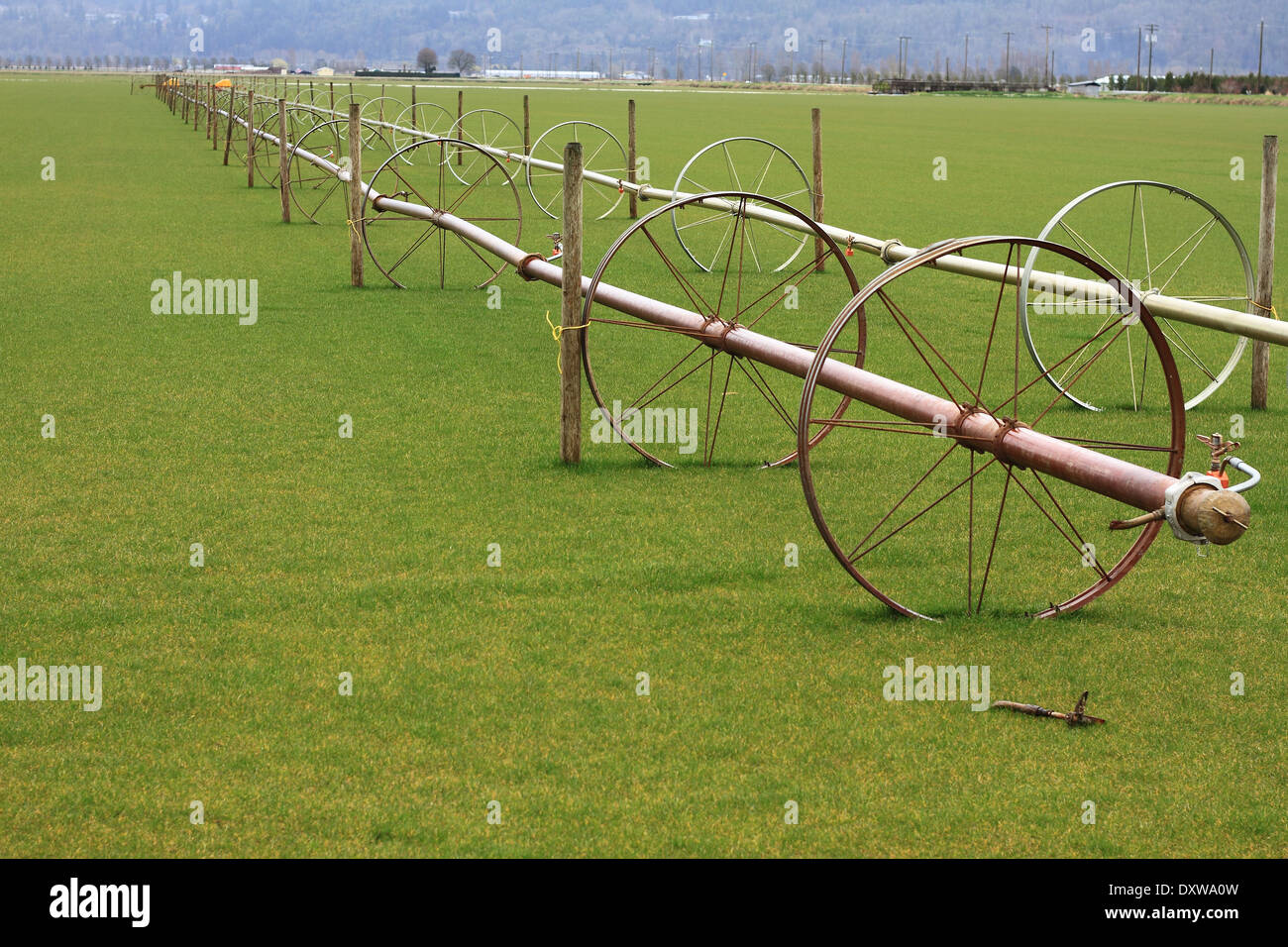 Turf irrigation hi-res stock photography and images - Alamy