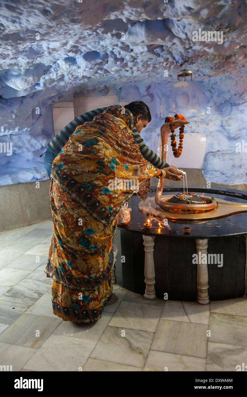 Five headed snake hi-res stock photography and images - Alamy