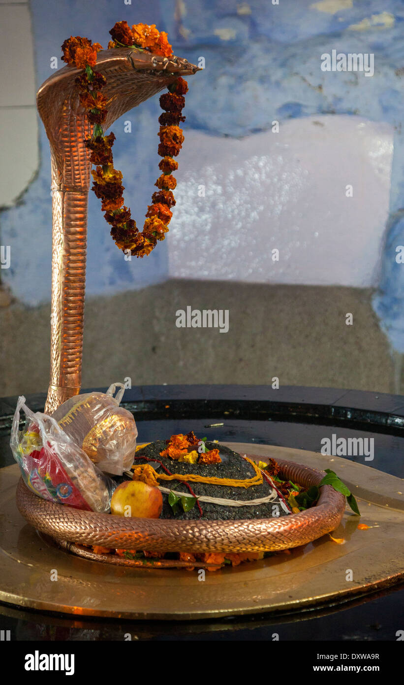 Snake temple in india hi-res stock photography and images - Alamy