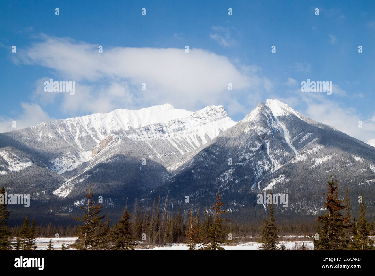 A view of the Miette Range of mountains in Jasper National Park ...