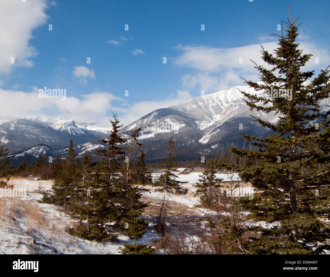A view of the Miette Range of mountains in Jasper National Park ...